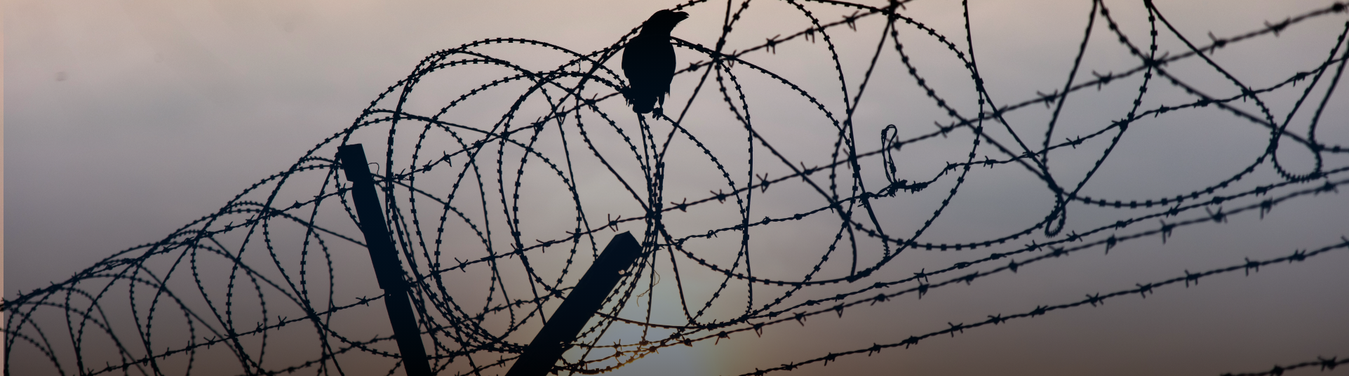 Surveillance & Security - GIS Drones™